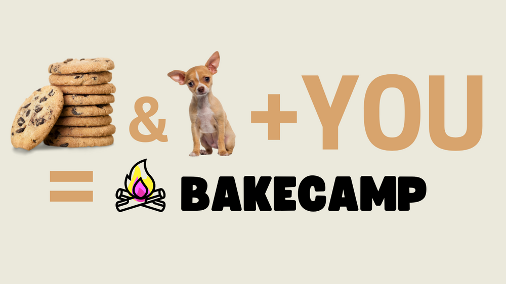 BakeCamp News – BakeSpace Shop Events & News